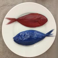 Colour | The Image Research Network